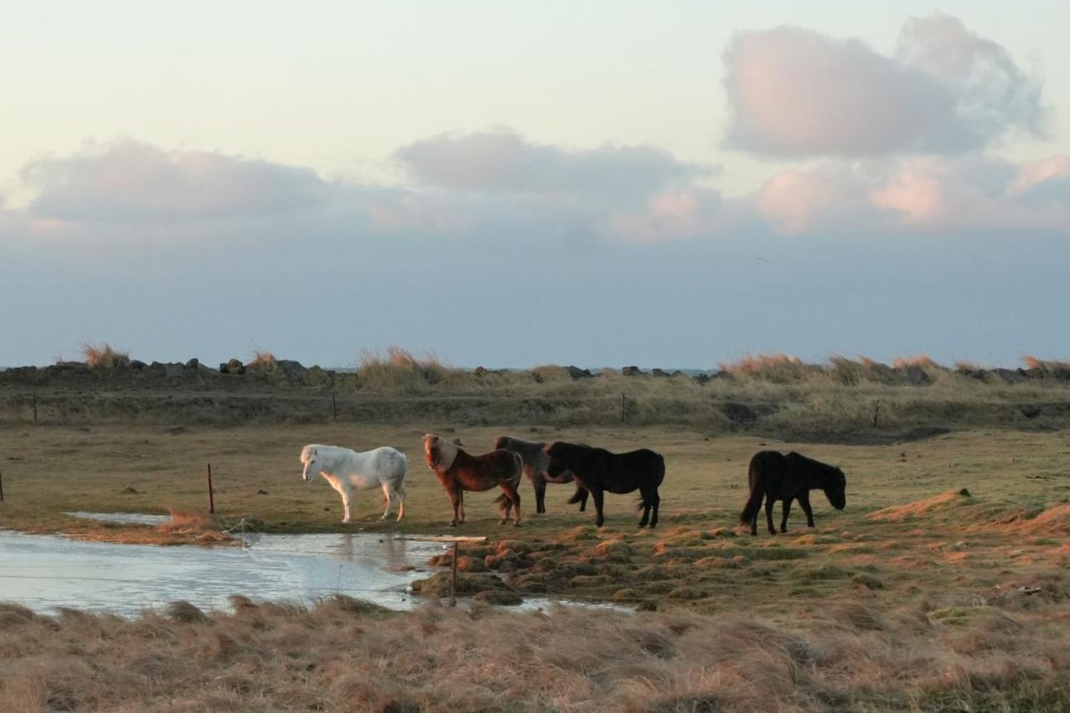 Luk House – Your stepping stone to Iceland