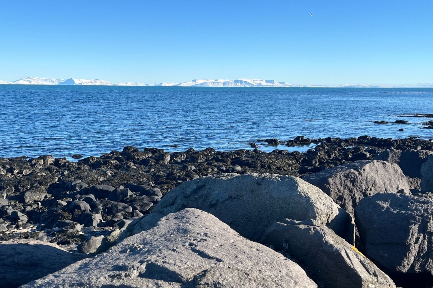 Luk House – Your stepping stone to Iceland
